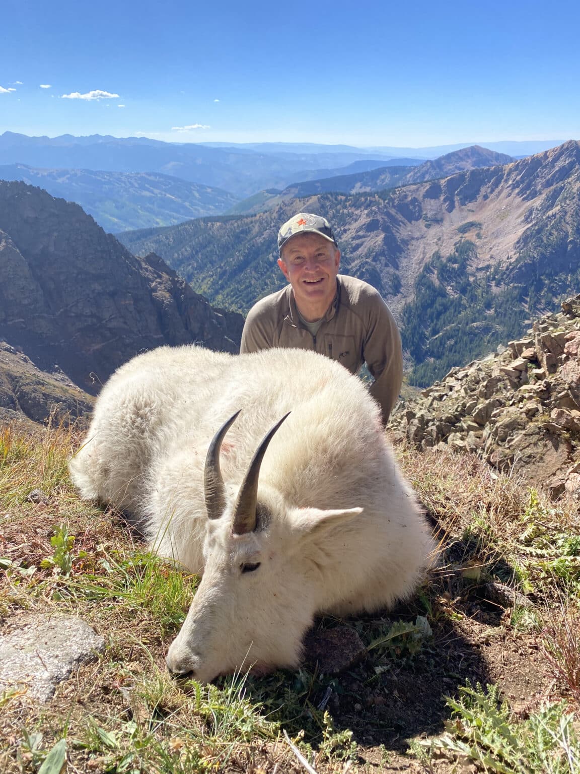2024 Colorado Bighorn Sheep, Mountain Goat, and Moose Recommendations ...