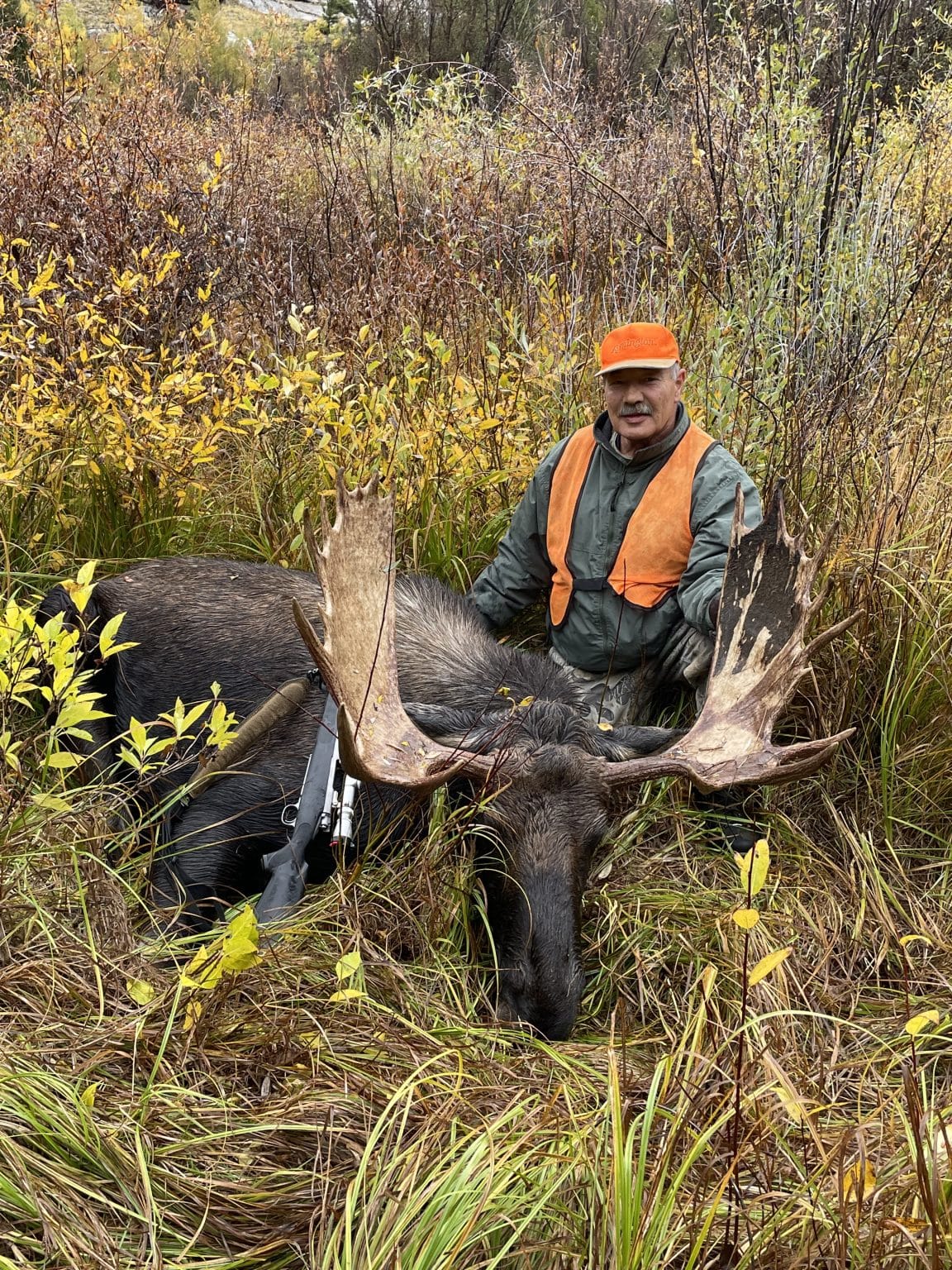 2026 Colorado Bighorn Sheep, Mountain Goat, and Moose Recommendations ...
