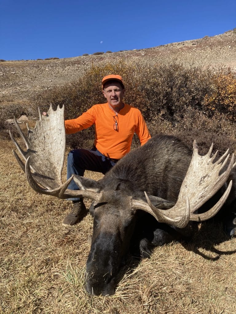 Colorado's Best Sheep, Mountain Goat, and Shiras Moose Units