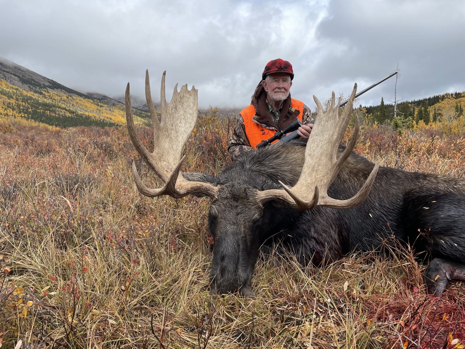 Colorado's Best Sheep, Mountain Goat, and Shiras Moose Units