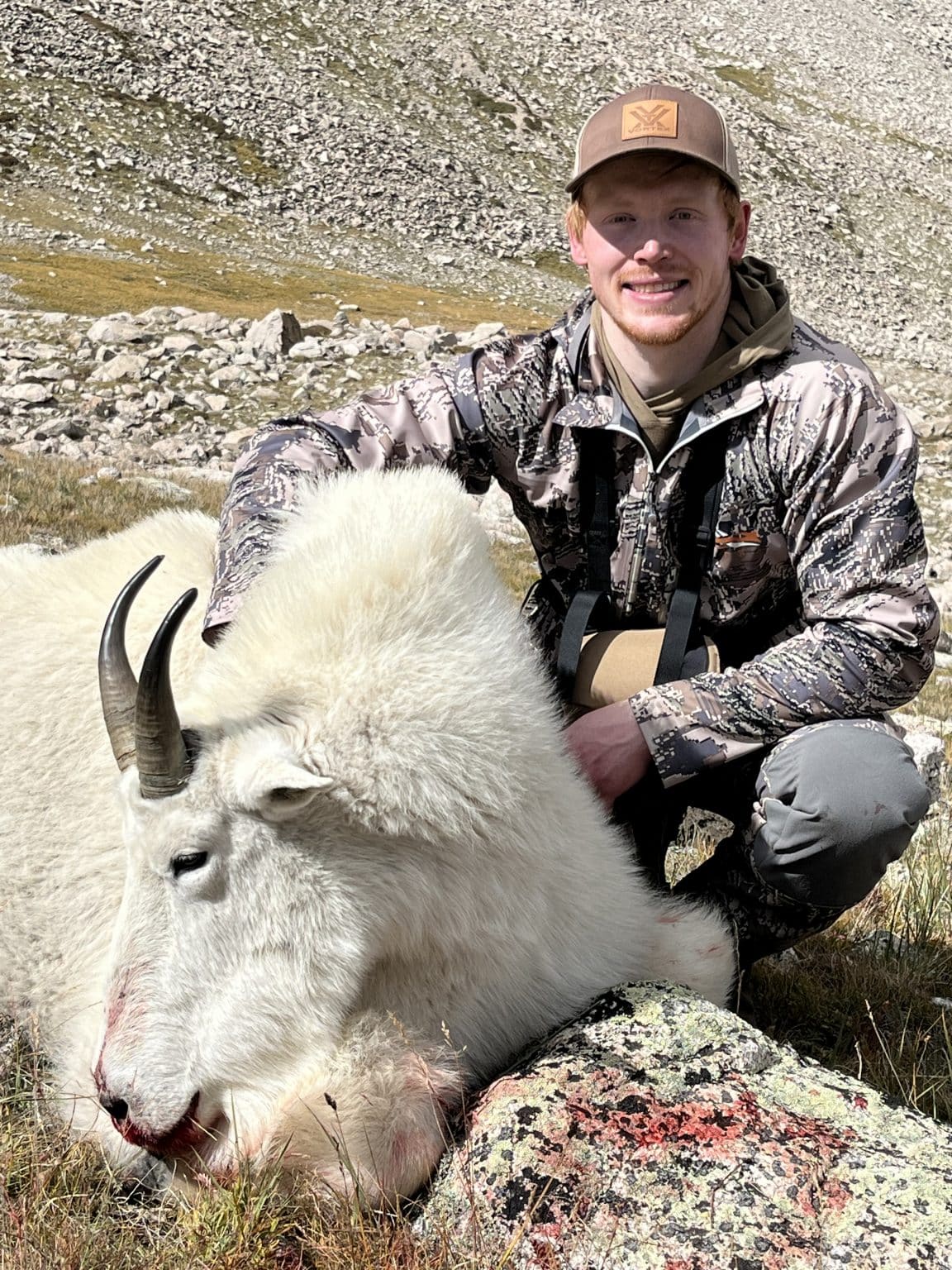 Colorado's Best Sheep, Mountain Goat, and Shiras Moose Units