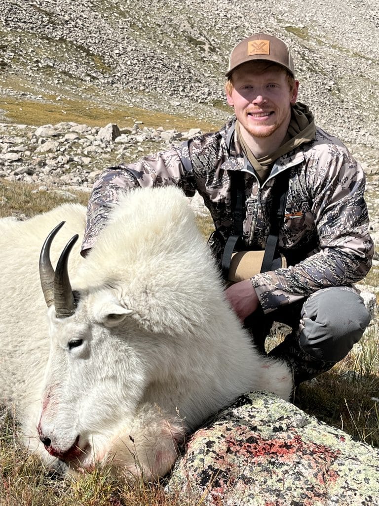 Colorado's Best Sheep, Mountain Goat, and Shiras Moose Units