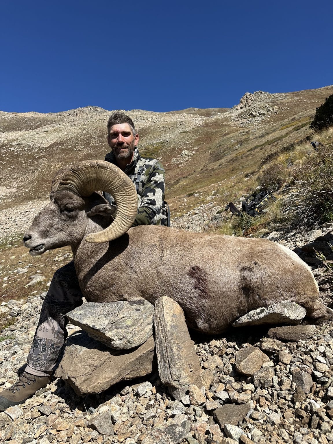 Colorado's Best Sheep, Mountain Goat, and Shiras Moose Units