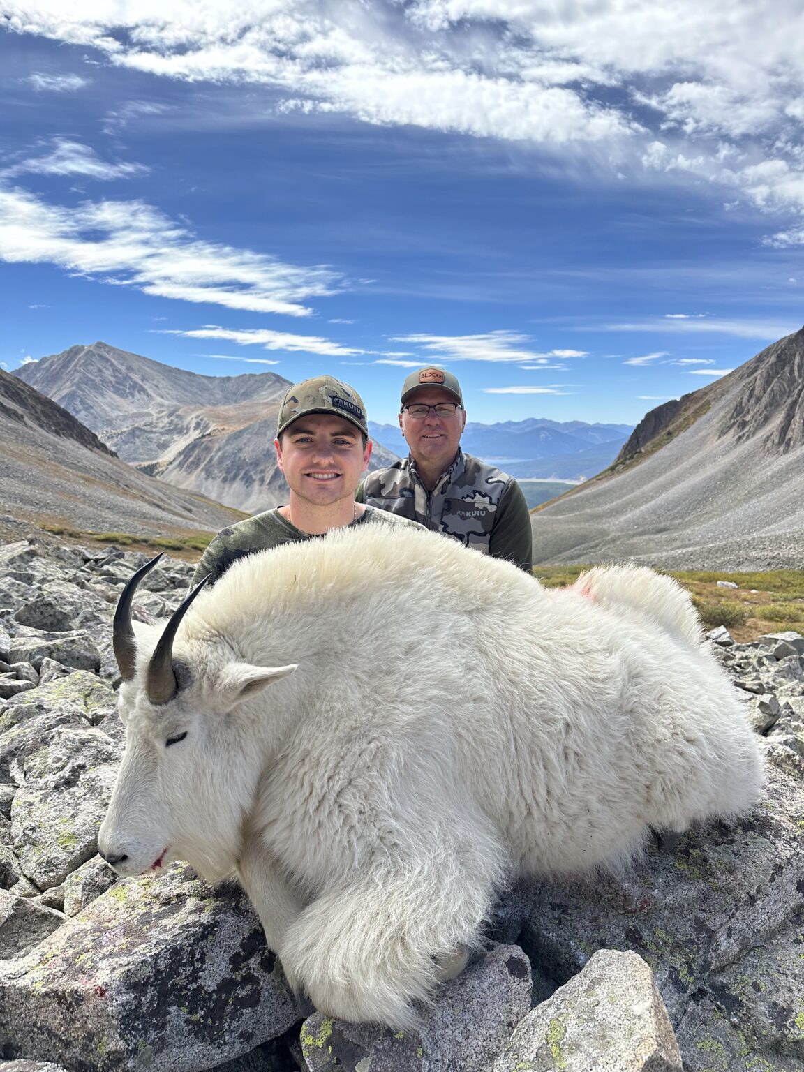 Colorado's Best Sheep, Mountain Goat, and Shiras Moose Units
