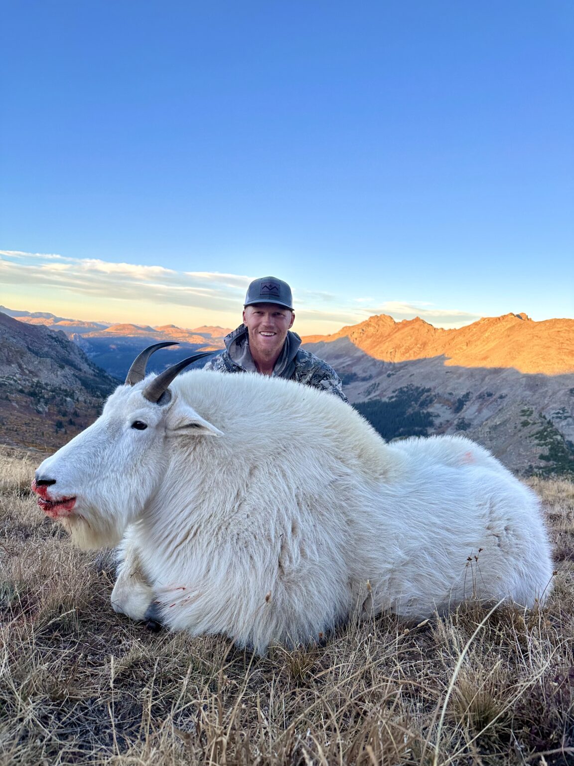 Colorado's Best Sheep, Mountain Goat, and Shiras Moose Units