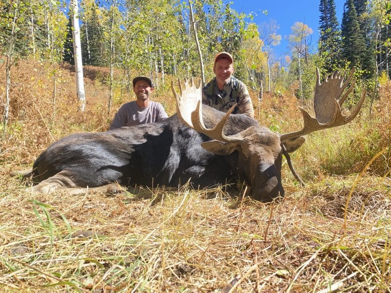 Colorado's Best Sheep, Mountain Goat, and Shiras Moose Units