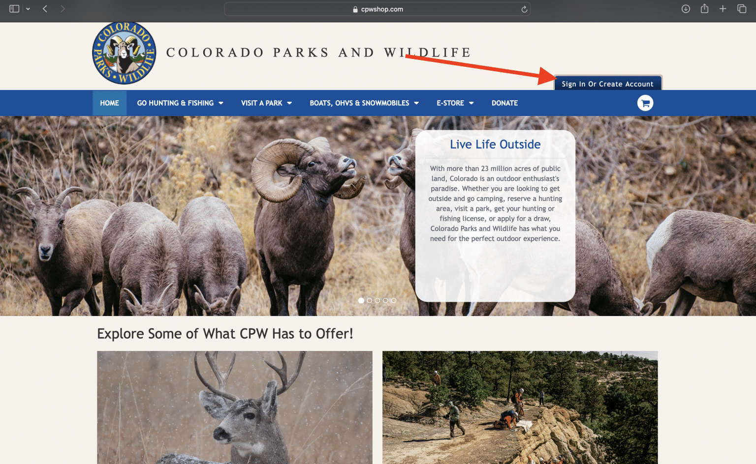 Guide to the 2025 Colorado Big Game Draw: Elk, Mule Deer & Bear. How To ...