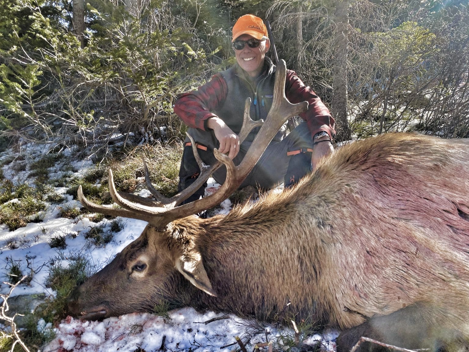 Guided Horseback Wilderness Deer/Elk Hunts - Flat Tops Wilderness Guides