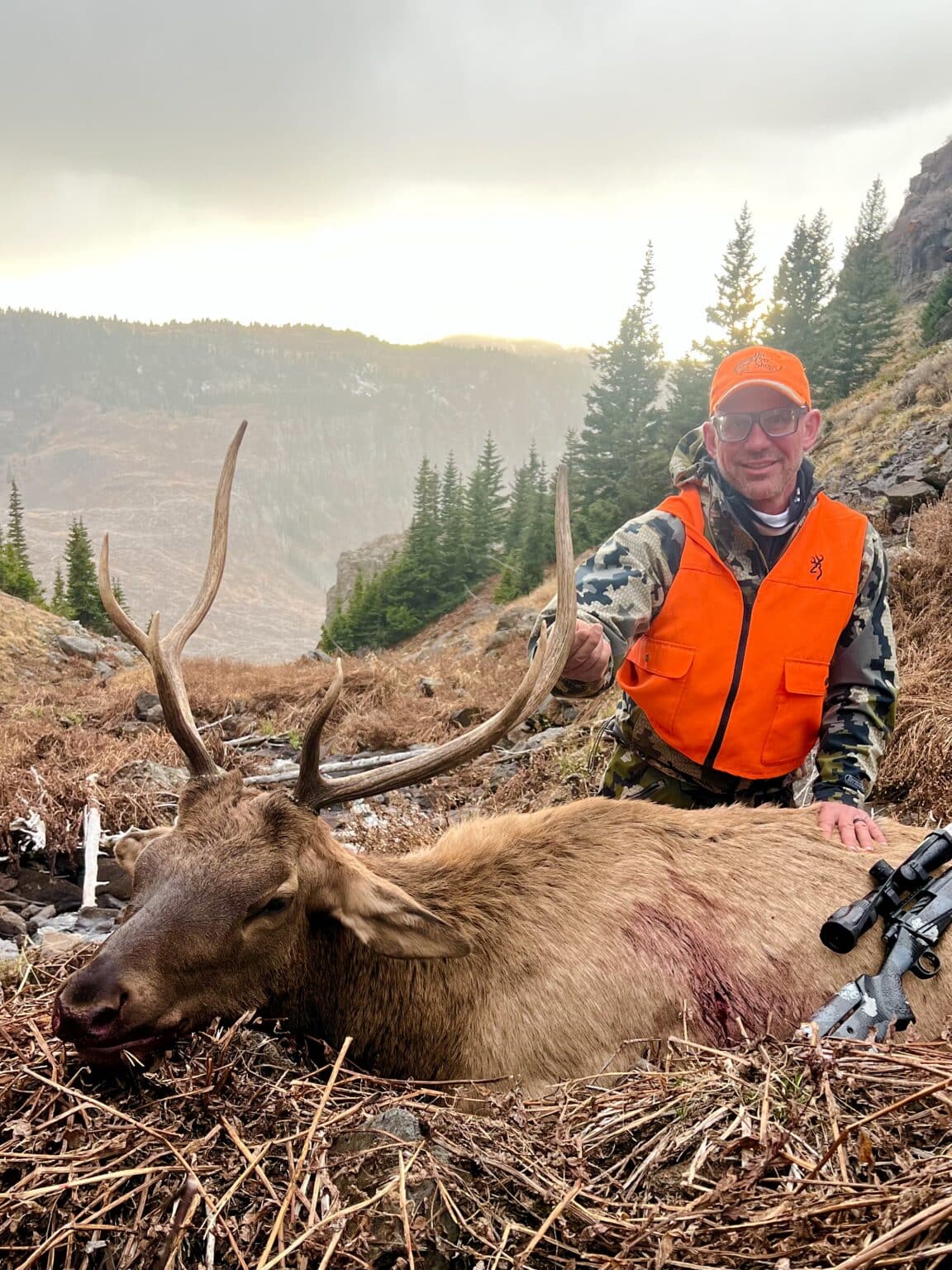 2026 Guide to the Colorado Big Game Draw: Elk, Mule Deer, Bear. How to ...